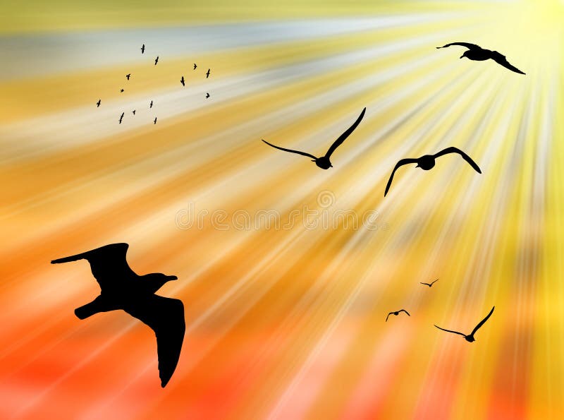 Silhouette geese and marsh stock vector. Illustration of nature - 4463437