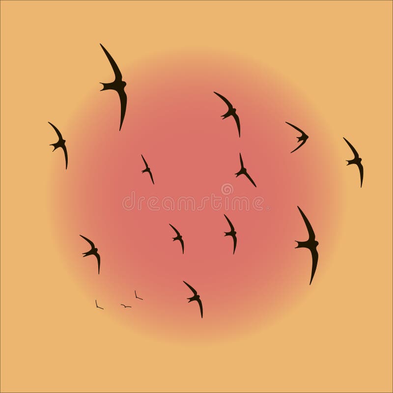 Birds swift stock vector. Illustration of wing, sunset - 80252579
