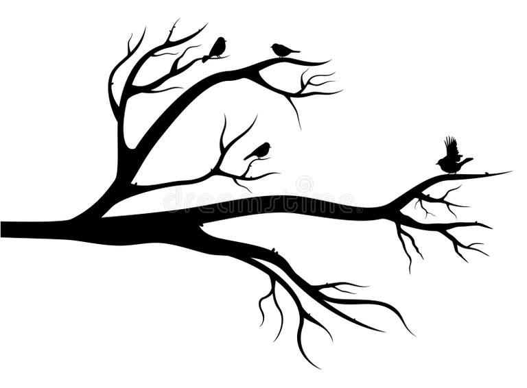 Black White Tree Birds Stock Illustrations – 10,187 Black White Tree ...