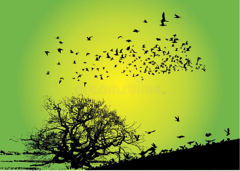 Birds With Tree Picture. Image: 5901411