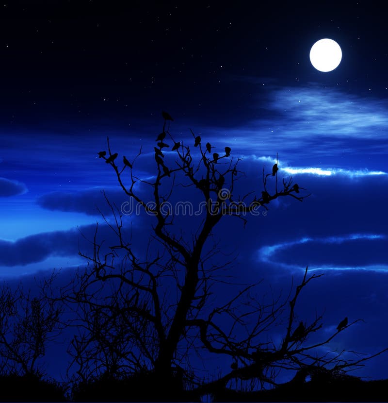 Sky & pink glow lights stock photo. Image of dusk - 5099248