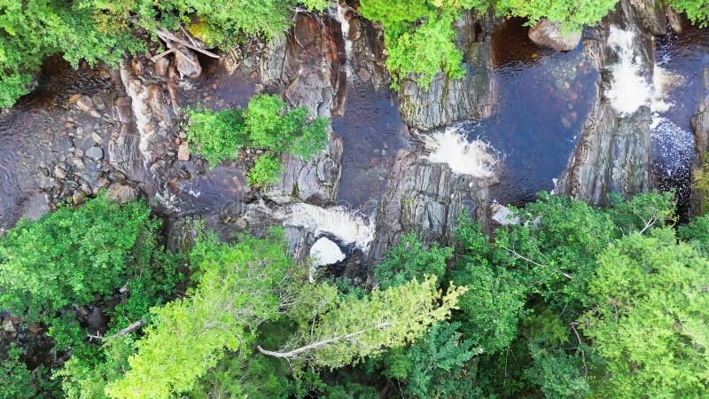 Birds View of a Stream in Forest Stock Video - Video of fall, natural ...