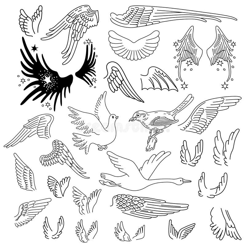 Fantasy birds stencil stock vector. Illustration of bird - 17322772