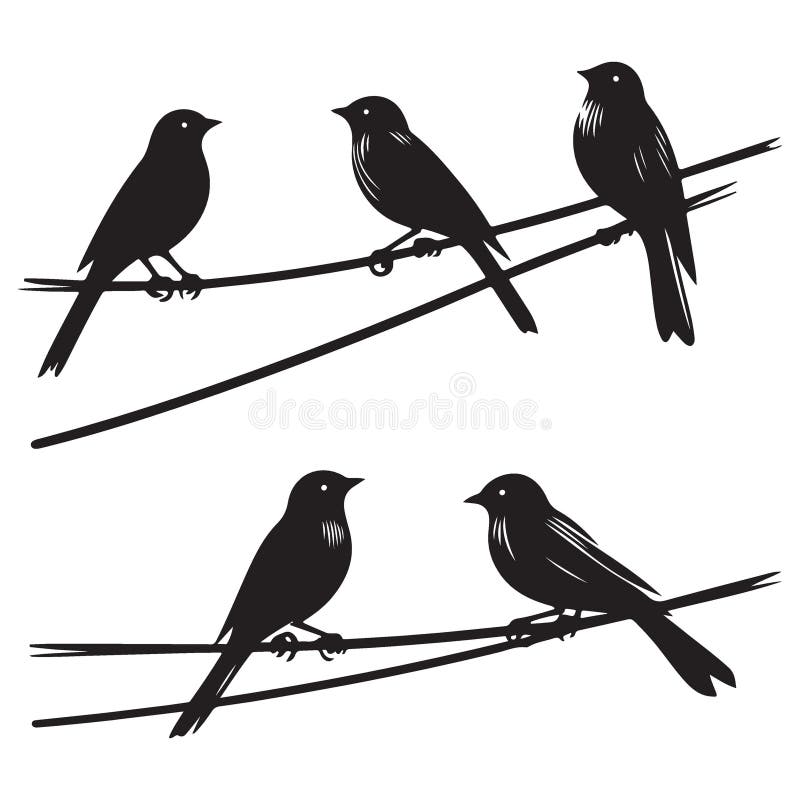 Birds on a Wire Silhouette Illustration Vector for Graphic Designs ...