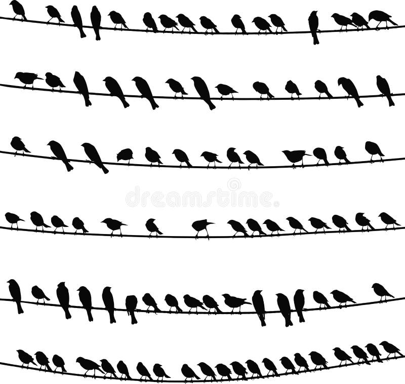 Birds on the Wire, Vector Illustration Stock Vector - Illustration of ...