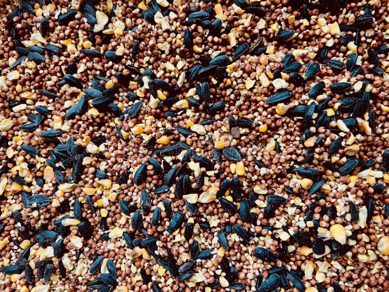 Birdseed stock image. Image of earing, meal, sunflower - 277310797
