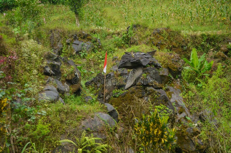 Birdshaped Stone in the Rowo Bayu Forest Stock Image - Image of nature ...