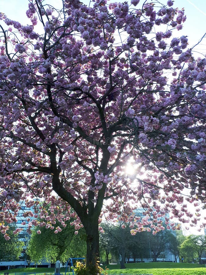 Inspiration spring stock photo. Image of birmingham - 120550292