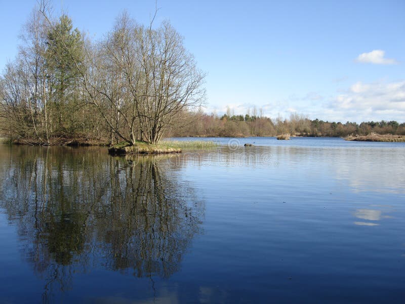 Birnie Trees stock image. Image of scenic, reflection - 12698873