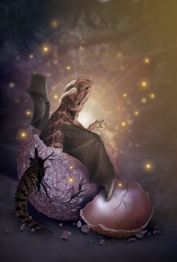 3,367 Baby Dragon Stock Photos - Free & Royalty-Free Stock Photos from ...