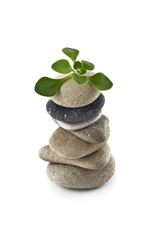 Birth of Life - Balanced Stone Tower with Plant Stock Photo - Image of ...