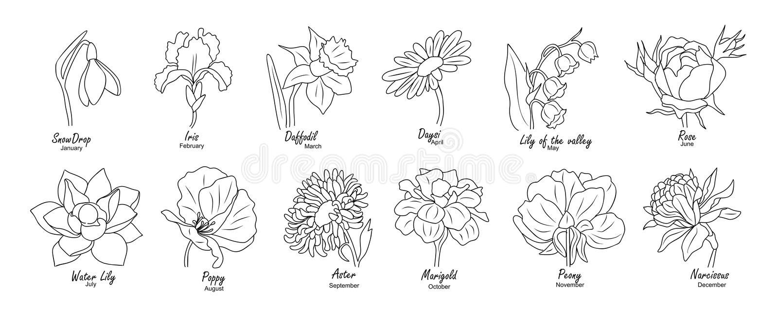 Birth Month Flowers Set Stock Illustrations – 228 Birth Month Flowers ... Birth Month Flowers Set Stock Illustrations – 228 Birth Month Flowers ...