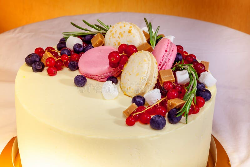 Slide of Cream Chocolate Sponge Cake with Scales Stock Image - Image of ...