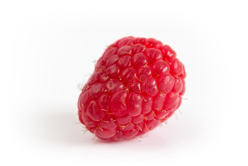 Bis Red Raspberry on White Background Stock Photo - Image of raspberry ...