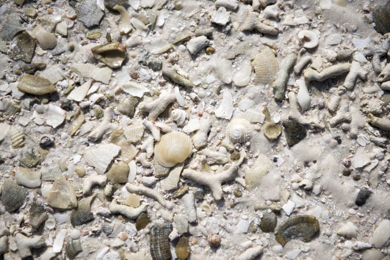 Biscayne National Park stock image. Image of clouds, outdoor - 84977005