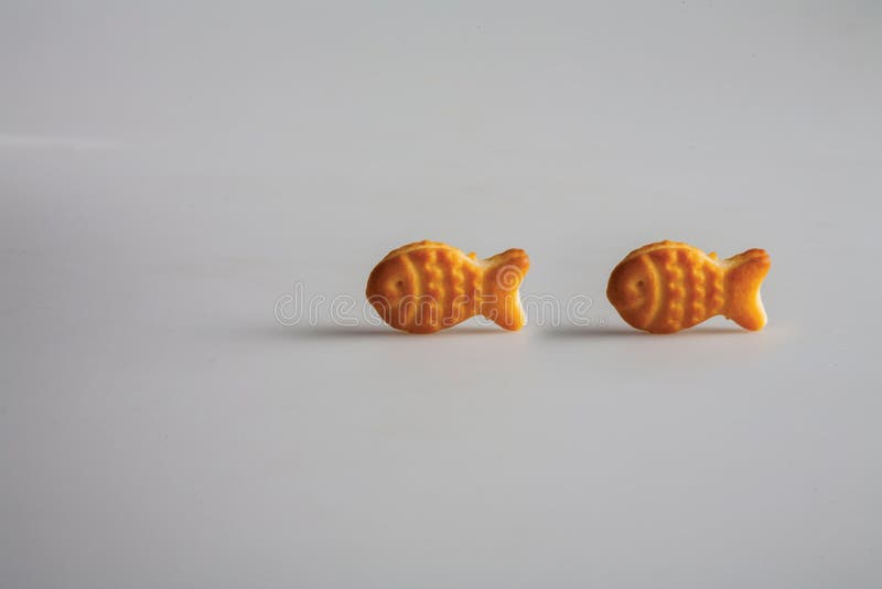 Biscotto a forma di pesce fotografia stock. Immagine di chiusura ...