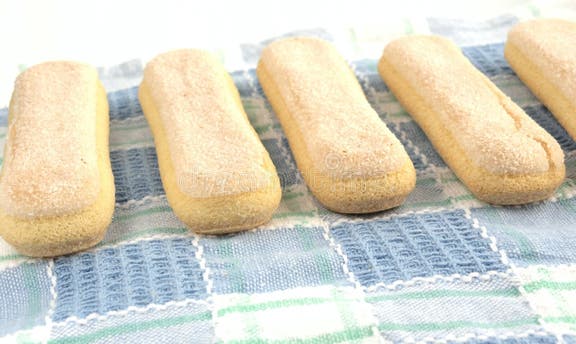 Biscuit stock photo. Image of cookie, junk, kids, biscuits - 231044