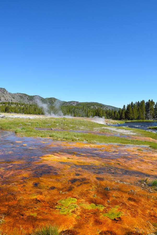 Biscuit Basin, Yellowstone National Park, Wyoming Stock Photo - Image ...
