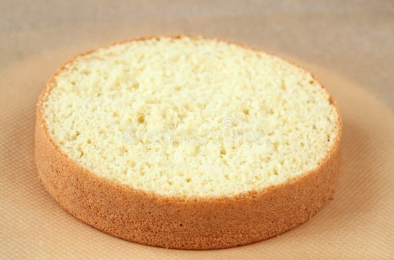 Biscuit Sponge Cake stock image. Image of party, homemade - 39159459