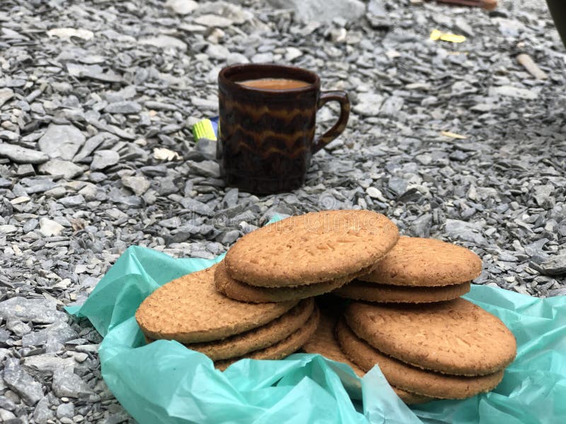 Biscuit stock image. Image of biscuit, eveiing, evening - 253616051