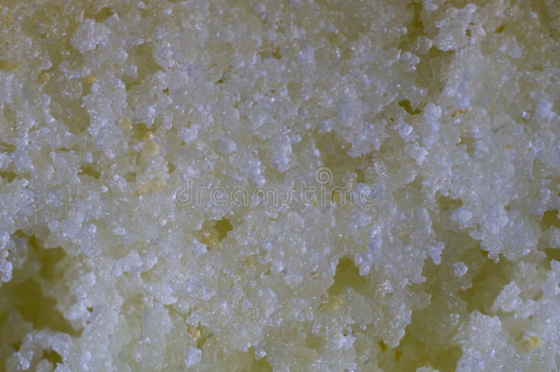 Biscuit Texture Background. Macro Close Up Stock Image - Image of ...