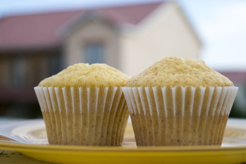 Biscuit stock photo. Image of biscuits, biscuit, rosehips - 45830032
