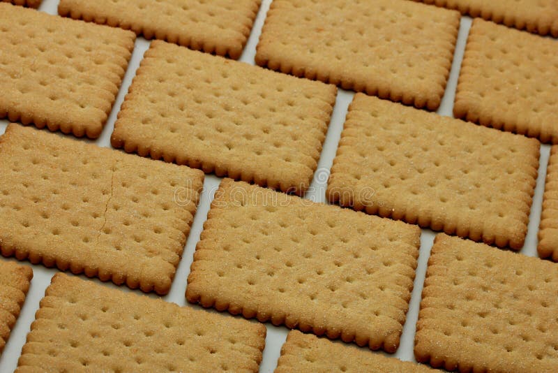 Biscuits in brick pattern stock photo. Image of biscuit - 100893030