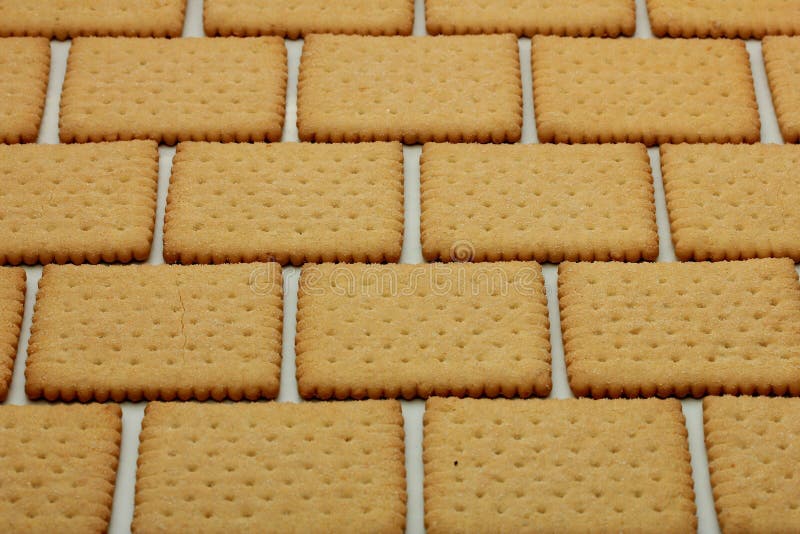 Biscuits in brick pattern stock photo. Image of biscuit - 100893030