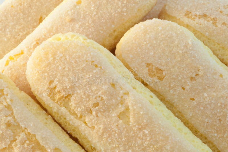 Biscuits de Ladyfingers image stock. Image du sucre, savoyard - 47670795
