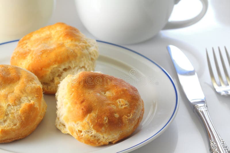 Plate of biscuits stock photo. Image of dough, plate, biscuit - 4551268