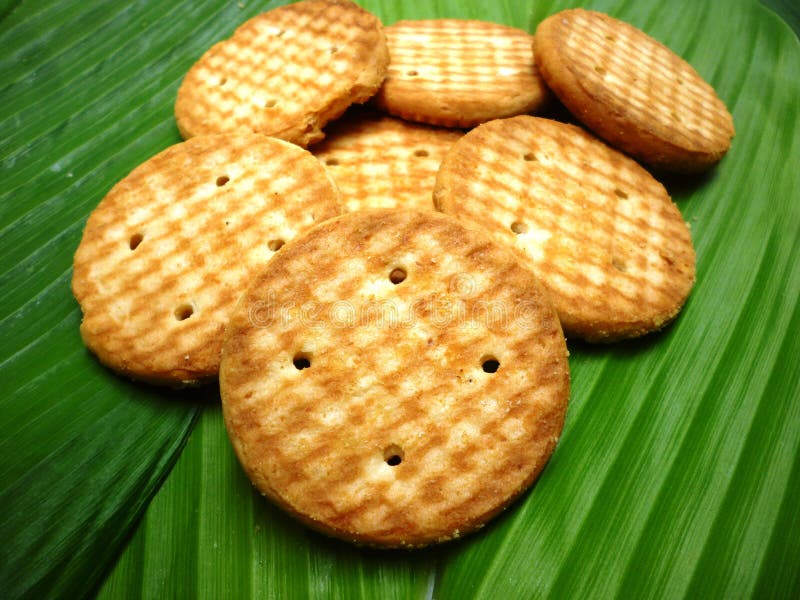 Biskuit stock photo. Image of eating, crispy, edible - 54288104