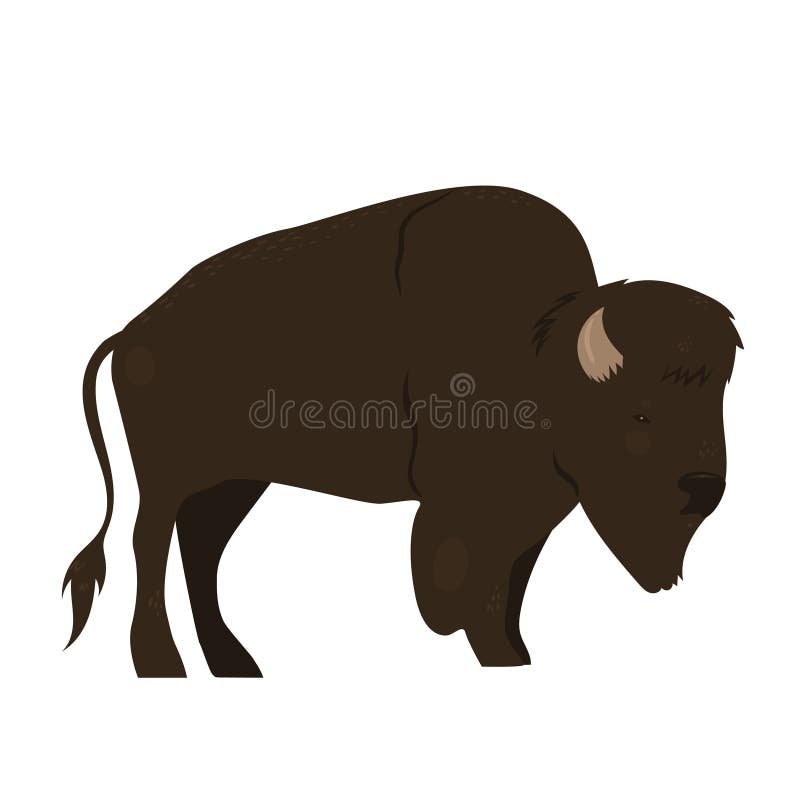 Bison Isolated on White Background. Vector Graphics Stock Illustration ...