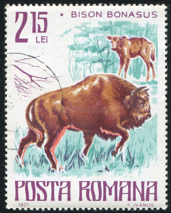 Bison editorial image. Image of postage, postcard, hoofed - 227794010