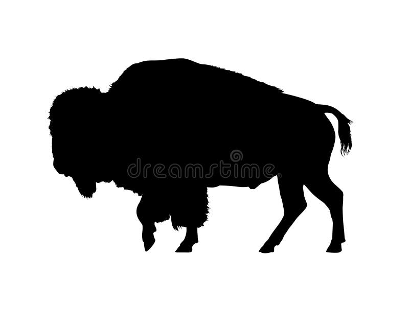 Bison Silhouette - Simple Vector Illustration Stock Illustration ...