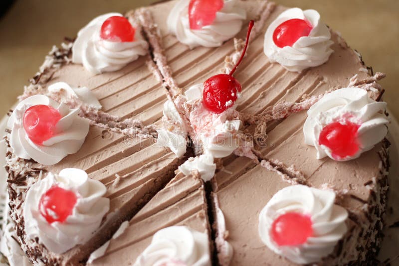 Bit cake stock image. Image of portion, chocolate, brown - 36454715