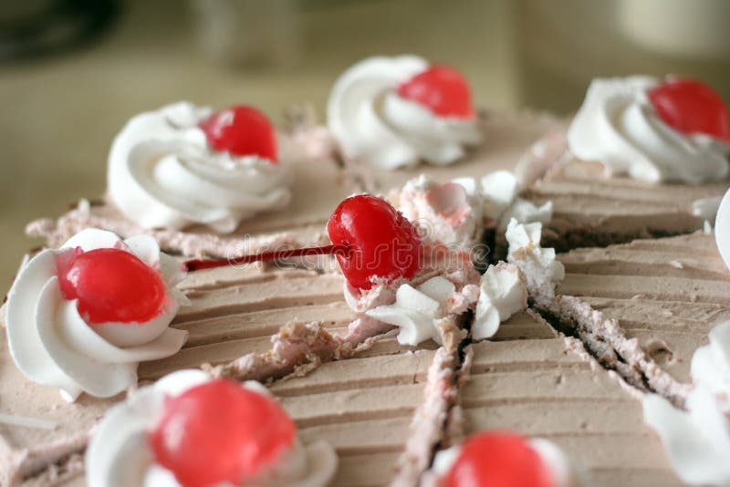 Bit cake stock photo. Image of life, plate, concepts - 36454794