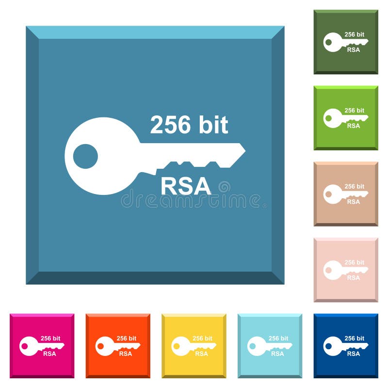 256 Bit Rsa Encryption White Icons on Edged Square Buttons Stock Vector ...