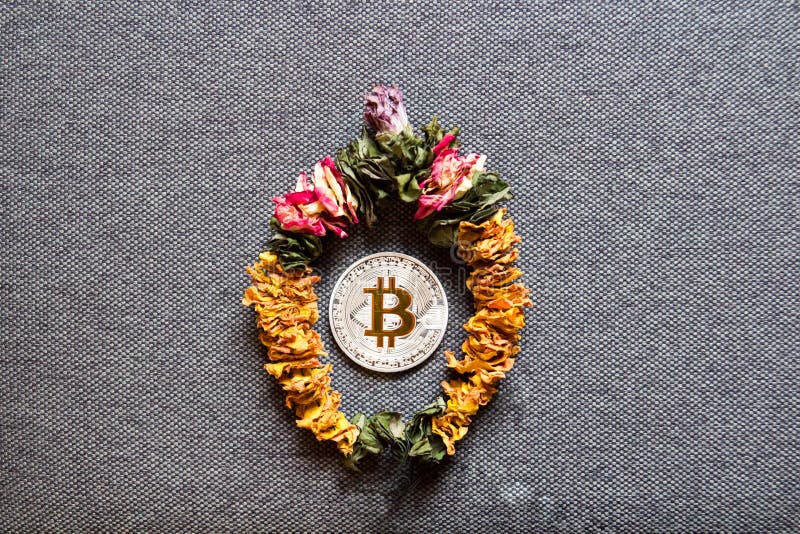 Bitcoin Becomes Cheaper, the Concept of Cryptocurrency Superiority Over ...