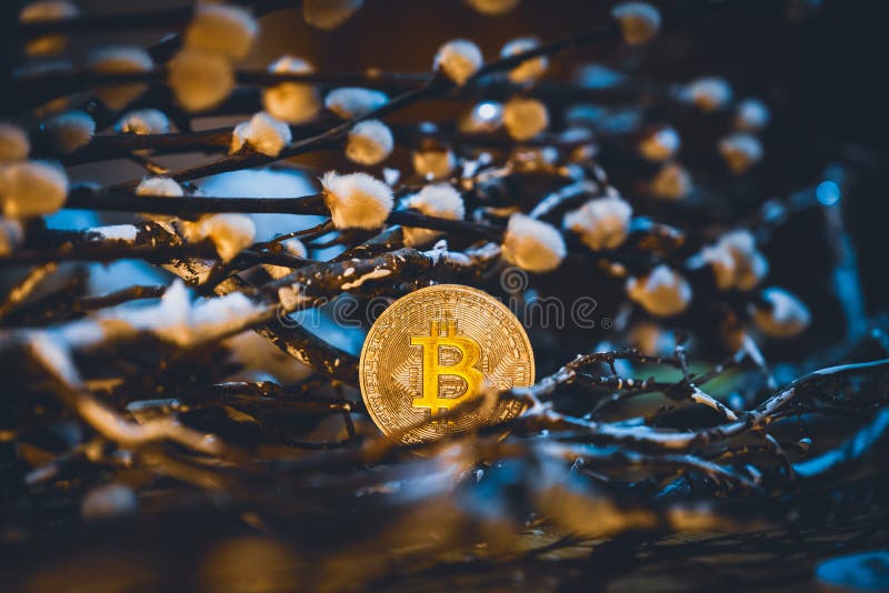 Bitcoin coin stock photo. Image of finance, bitcoin - 168648816