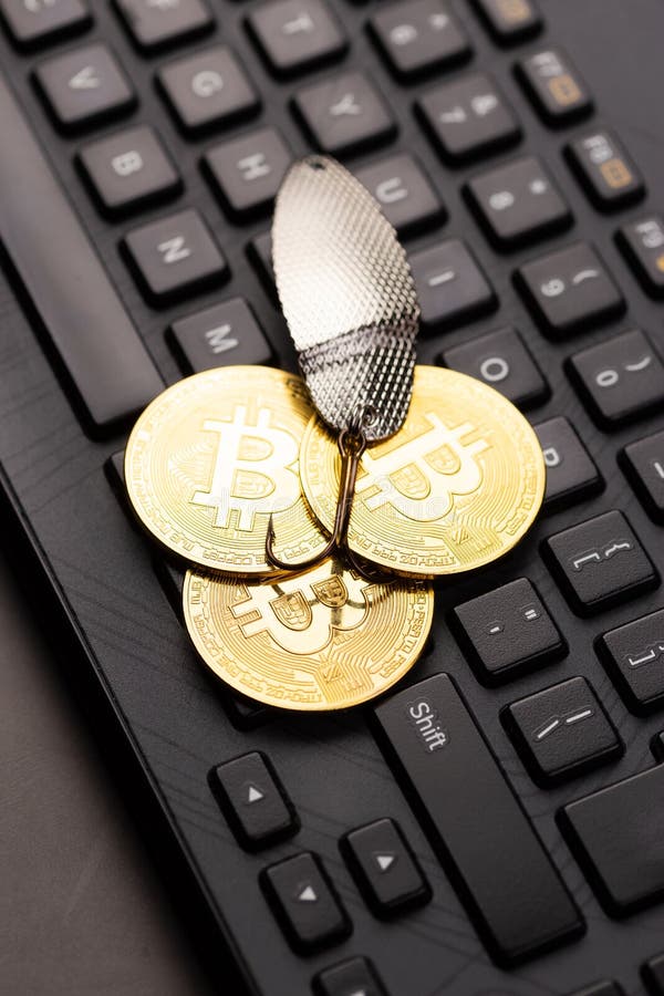 Bitcoin Coins on a Hook Over the Keyboard. Concept Catching Money ...
