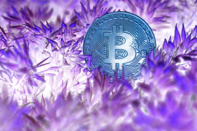 Bitcoin is the Digital Money of the Future Stock Photo - Image of cyber ...