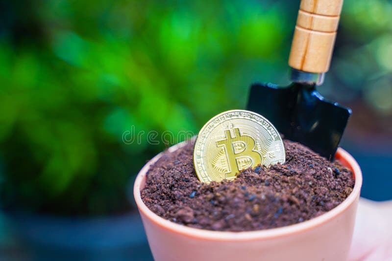 Bitcoin Mining Digital Currency for Future World Stock Photo - Image of ... Bitcoin Mining Digital Currency for Future World Stock Photo - Image of ...