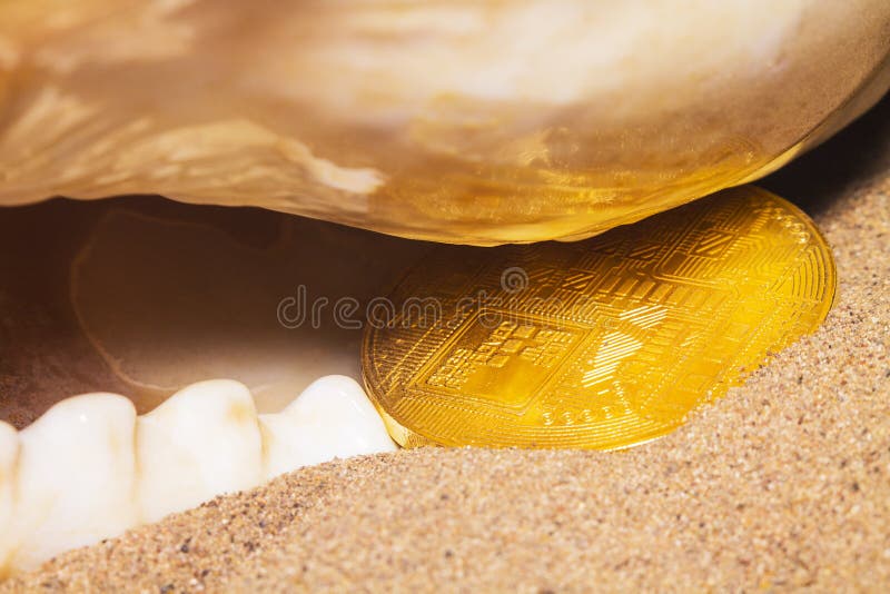 Bitcoin shell 6 stock photo. Image of international - 111589134