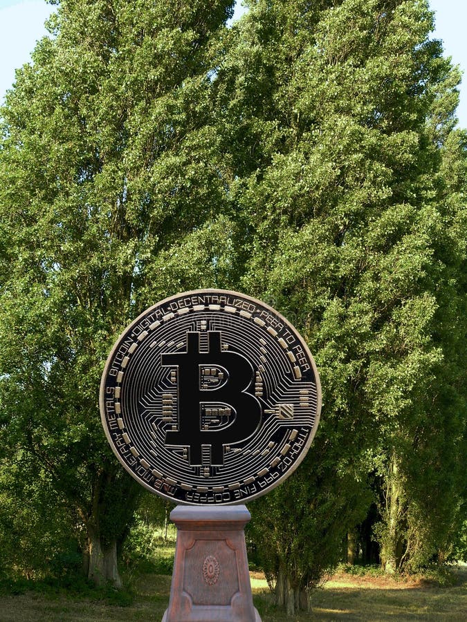 Bitcoin statue stock photo. Image of binary, golden, copper - 98718828