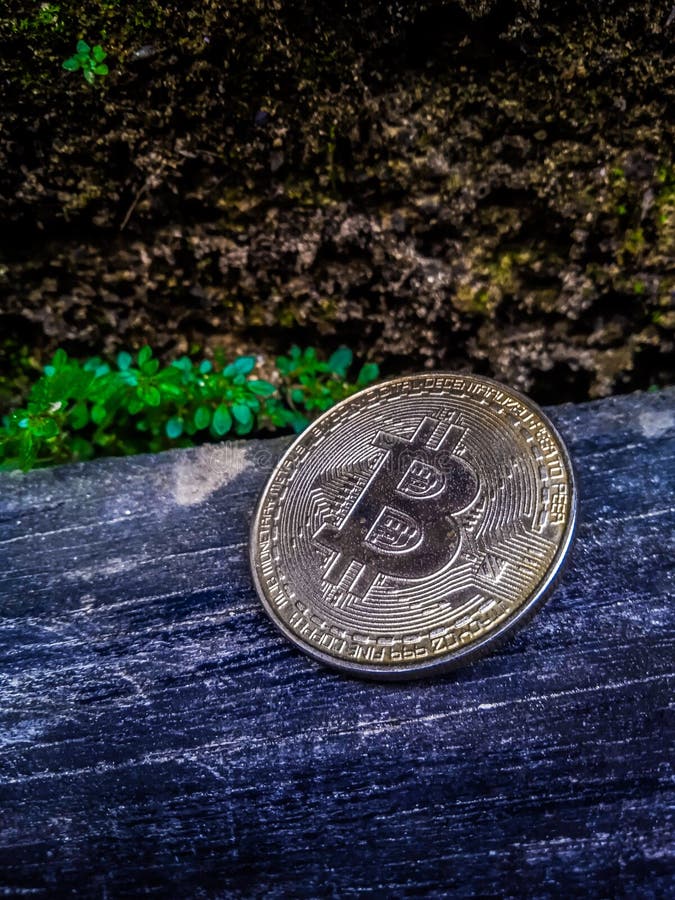 A Bitcoin on Wood with a Plant To the Left and a Wall Behind Stock ...