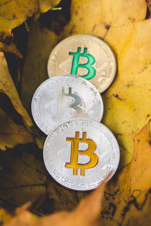 Bitcoins on a Fallen Autumn Leaf, the Concept of the Fall of Bit Stock ...