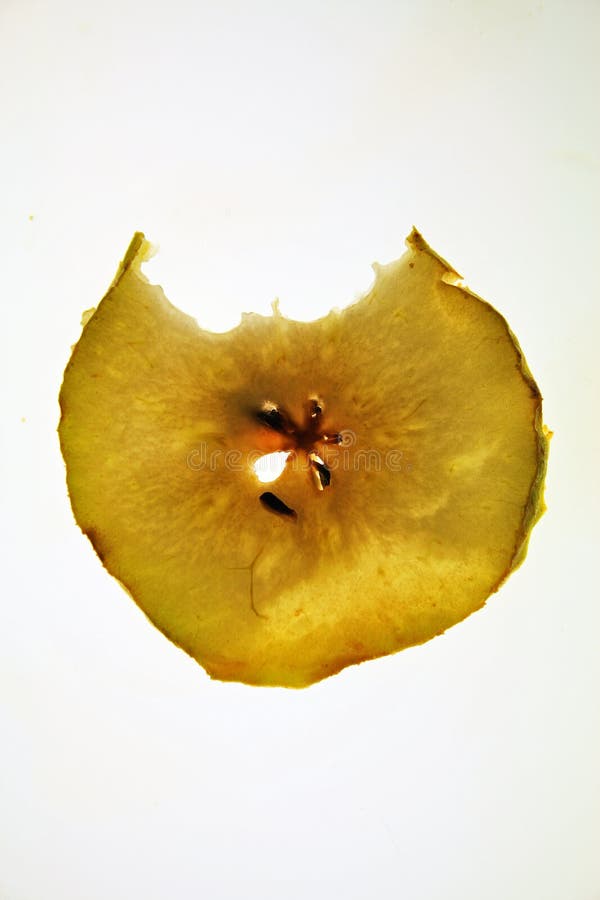 BITE in PEAR SLICE stock photo. Image of fibrous, edged - 89904460
