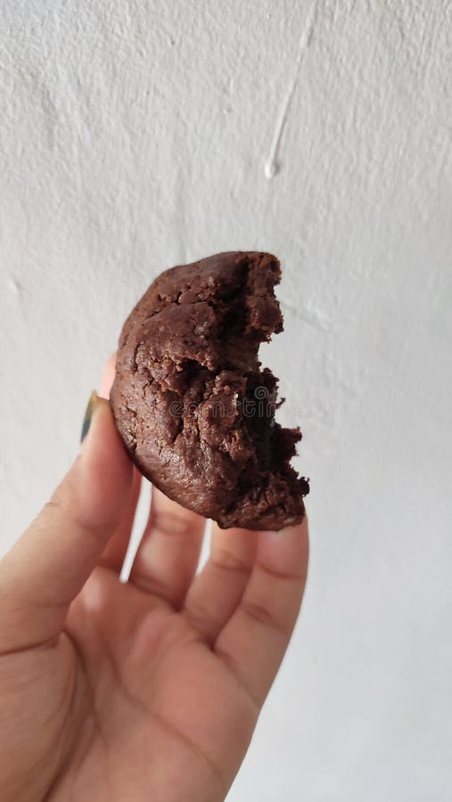 Biten cookies in hand stock photo. Image of hand, biten - 225100116