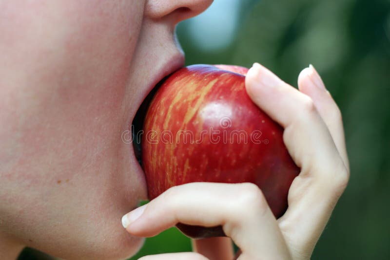 Biting apple stock photo. Image of crunchy, fruit, food - 92528