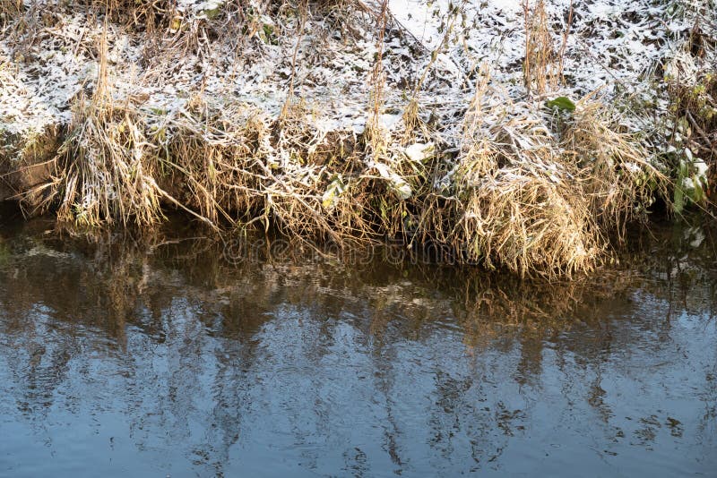The Bitsa River in the Suburbs, Covered with Snow on Dry Grass on the ...